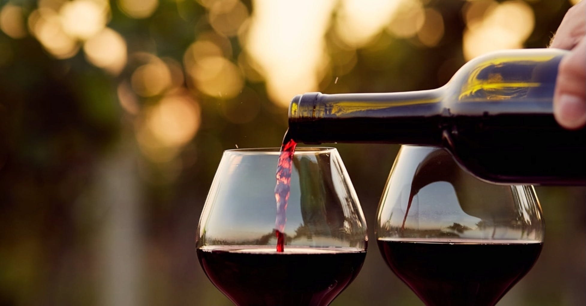 Primitivo - Zinfandel - Everything you need to know
